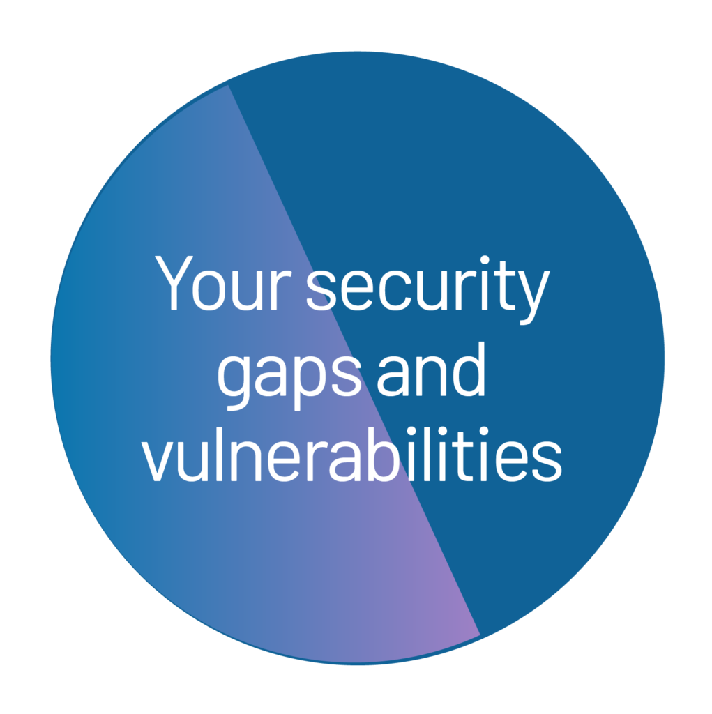 Arcshields, Cybersecurity Consultancy & Audit